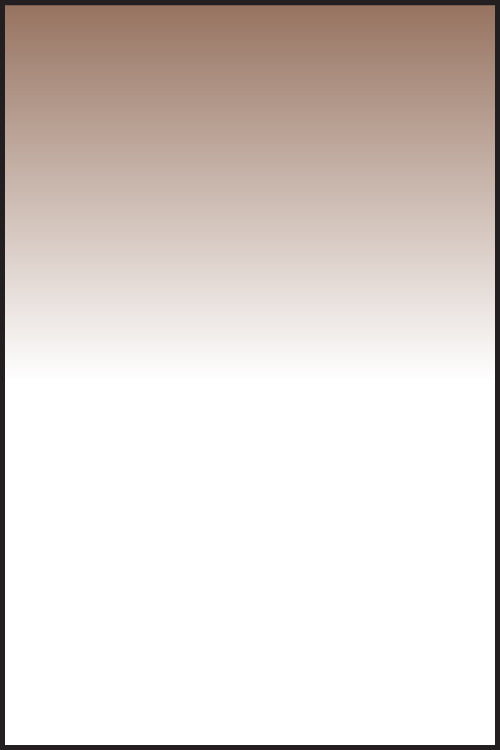 LEE100 Sepia 2 Resin Filter