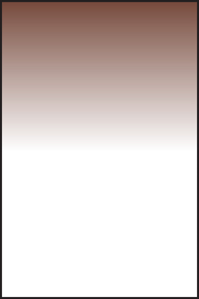 LEE100 Sepia 3 Graduated Resin Filter